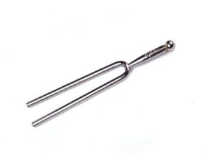 a tuning fork - "a" 440 hz with soft shell case