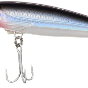 Rapala X-Rap Saltwater Fishing Lure (Silver, 4.75-Inch), 12