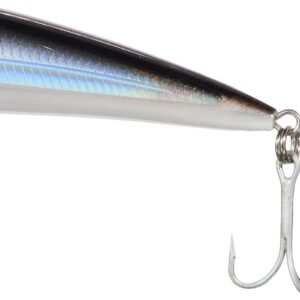 Rapala X-Rap Saltwater Fishing Lure (Silver, 4.75-Inch), 12