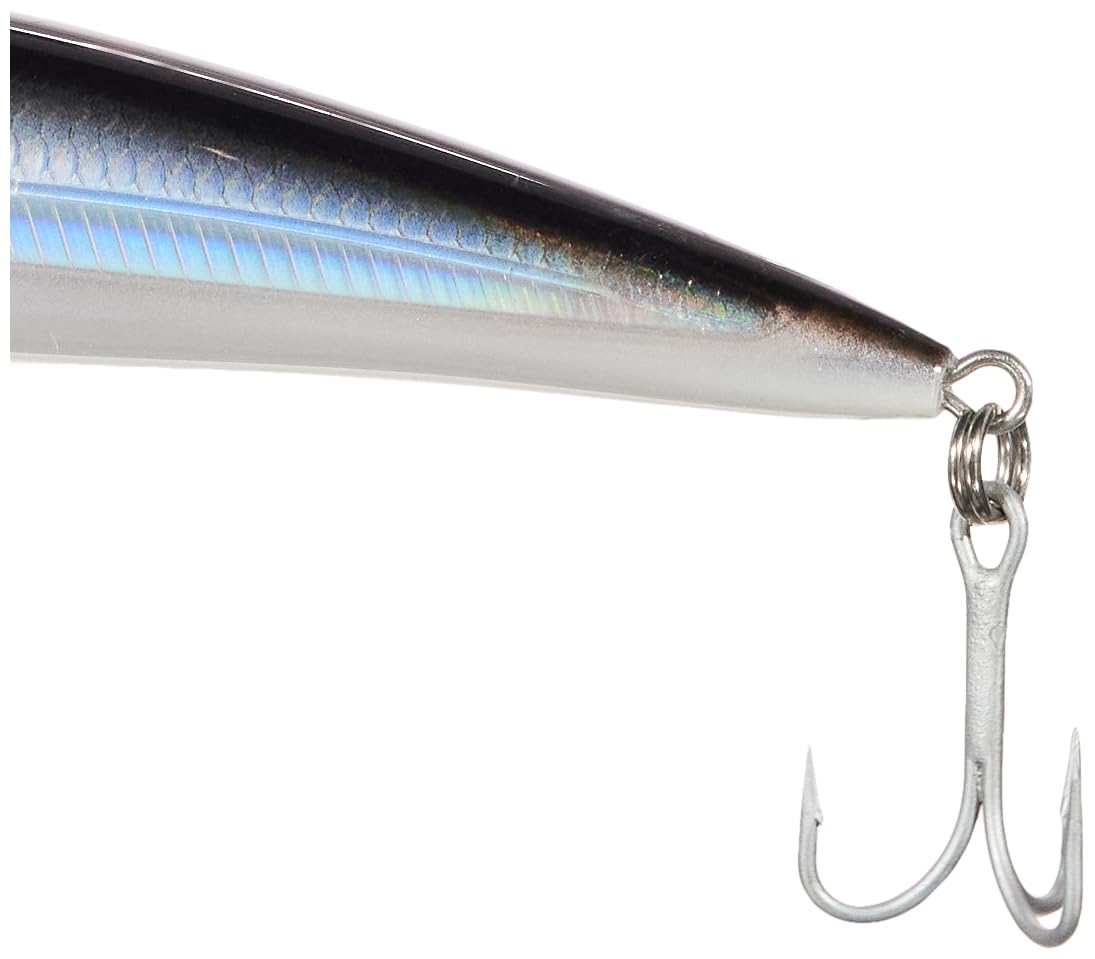 Rapala X-Rap Saltwater Fishing Lure (Silver, 4.75-Inch), 12