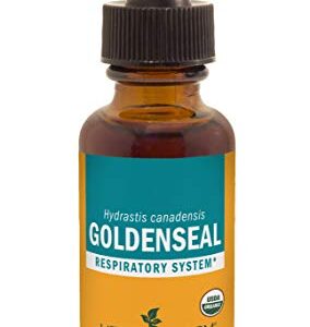 Herb Pharm Certified Organic Goldenseal Liquid Extract for Respiratory System Support, Organic Cane Alcohol, 1 Ounce