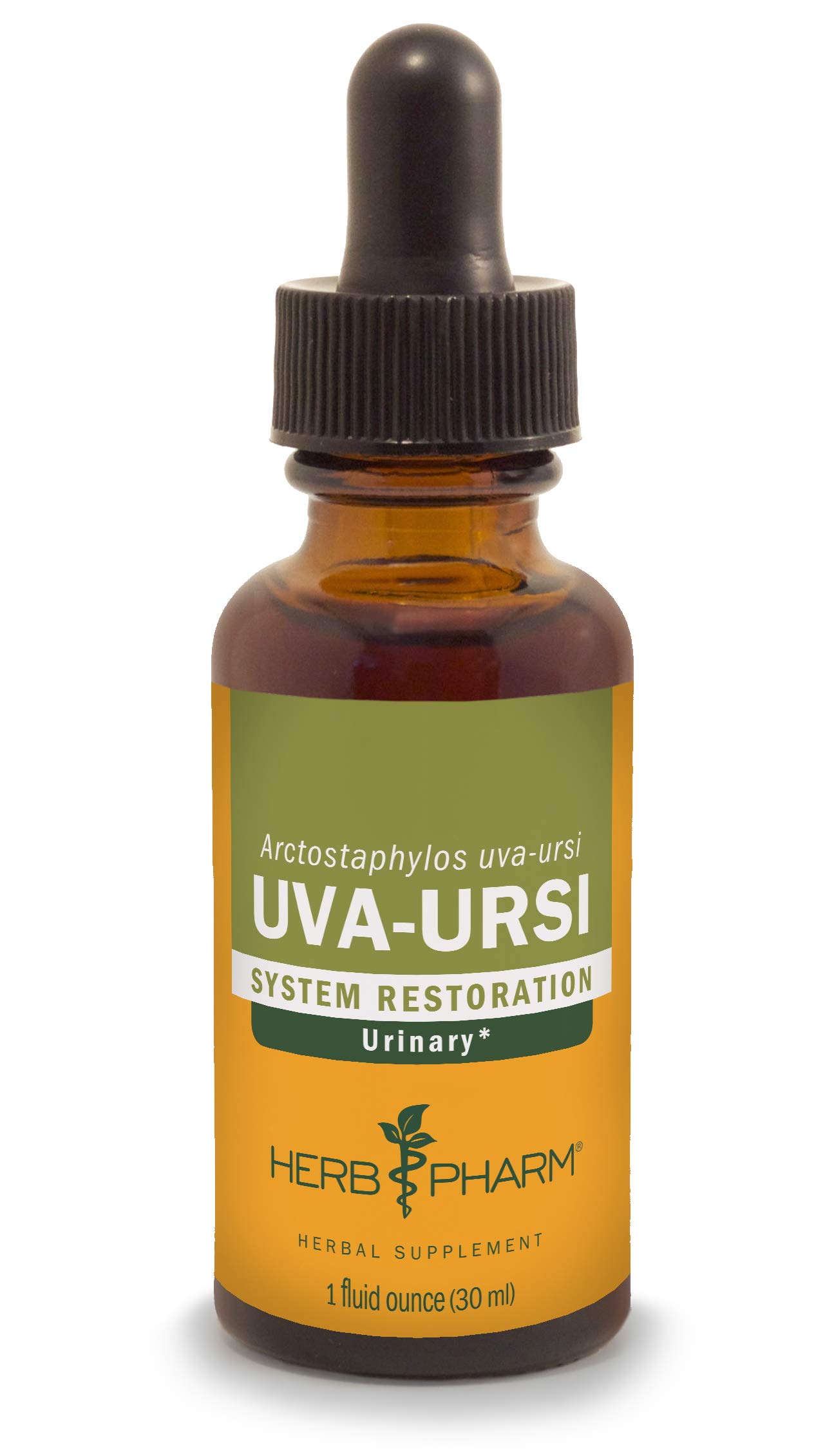 Herb Pharm Uva Ursi Liquid ExtraCount for Urinary System Support, 1 Fl Oz