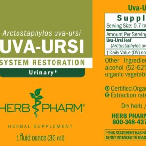 Herb Pharm Uva Ursi Liquid ExtraCount for Urinary System Support, 1 Fl Oz