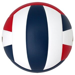 Baden Perfection Leather Volleyball, Red/White/Navy