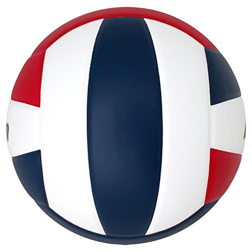 Baden Perfection Leather Volleyball, Red/White/Navy