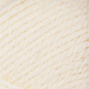 Patons 10017388 Yarn Pat Astra Aran, 1.75 oz, Multicolor