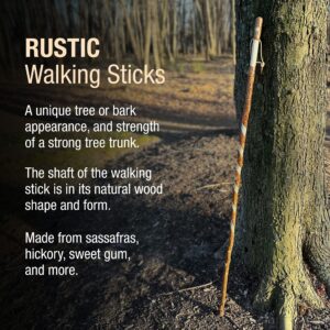 Hiking Walking Trekking Stick - Handcrafted Wooden Walking & Hiking Stick - Made in the USA by Brazos - Twisted Sassafras - 58 inches