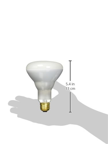 Westinghouse 0423500, 65 Watt, 130 Volt Frosted Incand BR30 Light Bulb, 2000 Hour 650 Lumen