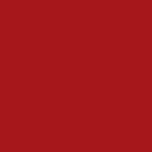 RUST-OLEUM K7764-402 Professional 400 Voc Gallon Safety Red Enamel Paint, 1 Gallon (Pack of 1), 128 Fl Oz