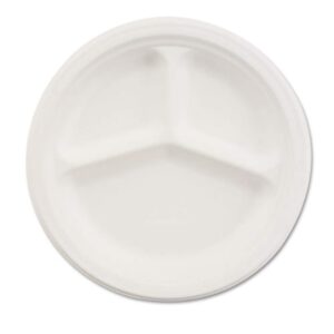 htmvestryct - chinet paper dinnerware