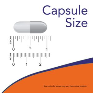 Now Foods Choline & Inositol 500 Mg - 100 Caps