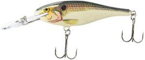 rapala shad rap 09 fishing lure, 3.5-inch, shad