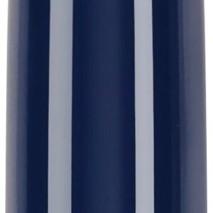 PILOT Vanishing Point Collection Refillable & Retractable Fountain Pen, Blue Barrel with Gold Accents, Blue Ink, Medium Nib (60266)