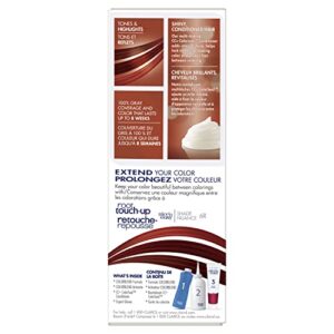 Clairol Nice'N Easy Original 6R Natural Light Auburn (Pack of 3)