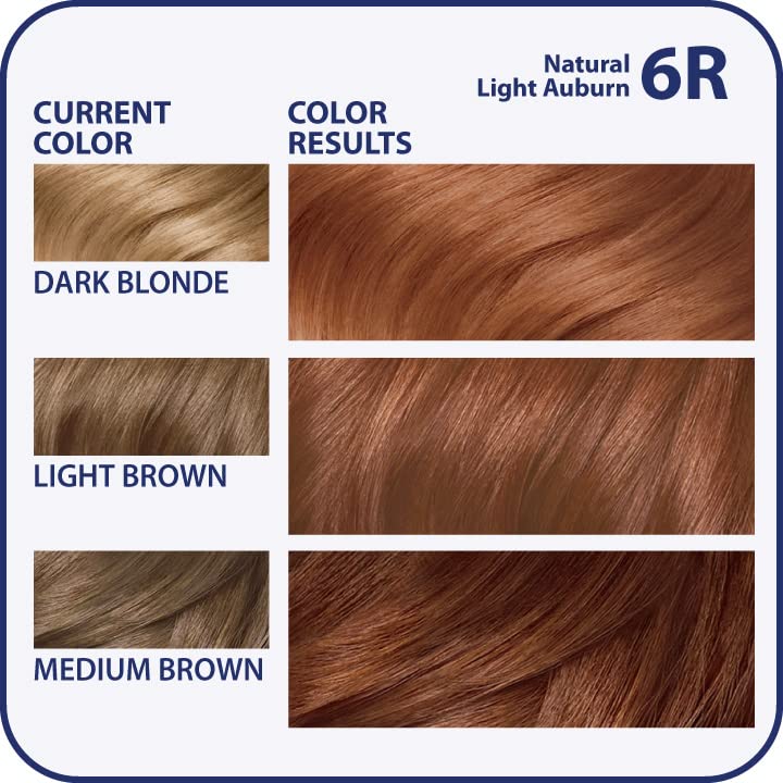 Clairol Nice'N Easy Original 6R Natural Light Auburn (Pack of 3)