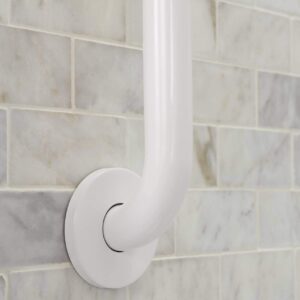 Moen Bathroom Safety 24-Inch Shower Grab Bar with a Slip-Resistant Peened Texture and Concealed Screws for Handicapped or Elderly, R8724P