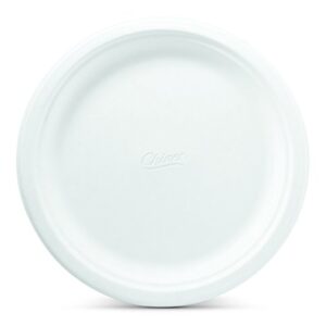 Chinet Classic White Dinner Plates