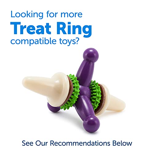 PetSafe Natural Rawhide Treat Ring Refills for Busy Buddy Dog Toys, Size B fits Small/Medium and Medium Toys, 16 Rings