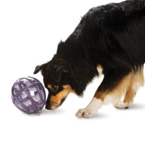 petsafe busy buddy kibble nibble - dog toy - treat and food dispenser - slow feeder - medium/large