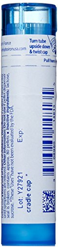 Boiron Homeopathic Medicine Calcarea Carbonica, 30C Pellets, 80-Count Tubes (Pack of 5)