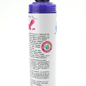 Kelco 50:1 Plum White Shampoo, 11.7 fl. oz.