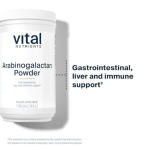 Vital Nutrients Arabinogalactan Powder | Vegan Supplement to support GI Health, Liver, and Immune Support* | Gluten, Dairy and Soy Free | Non-GMO | 300 Grams