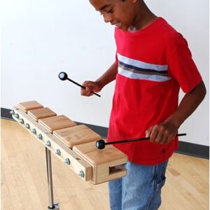 Basic Beat BBTB5 Temple Blocks Set - Quality Sound, Durable Construction, Perfect for Classroom and Band Music