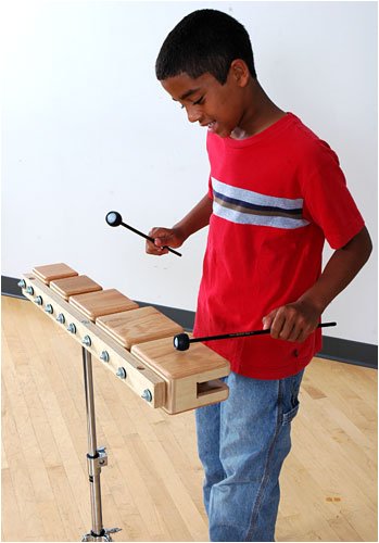 Basic Beat BBTB5 Temple Blocks Set - Quality Sound, Durable Construction, Perfect for Classroom and Band Music