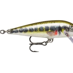 Rapala Countdown 1/8 Oz Fishing lure (Rainbow Trout, Size- 1.5), Fire Minnow