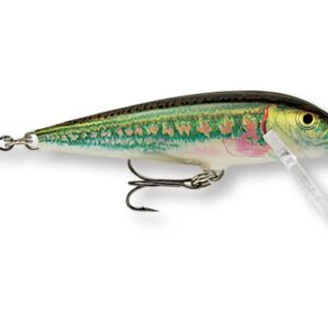 Rapala Countdown 1/8 Oz Fishing lure (Rainbow Trout, Size- 1.5), Fire Minnow