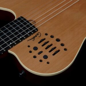 Godin Multiac Series-ACS Guitar (Slim Nylon)