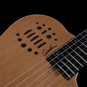 Godin Multiac Series-ACS Guitar (Slim Nylon)