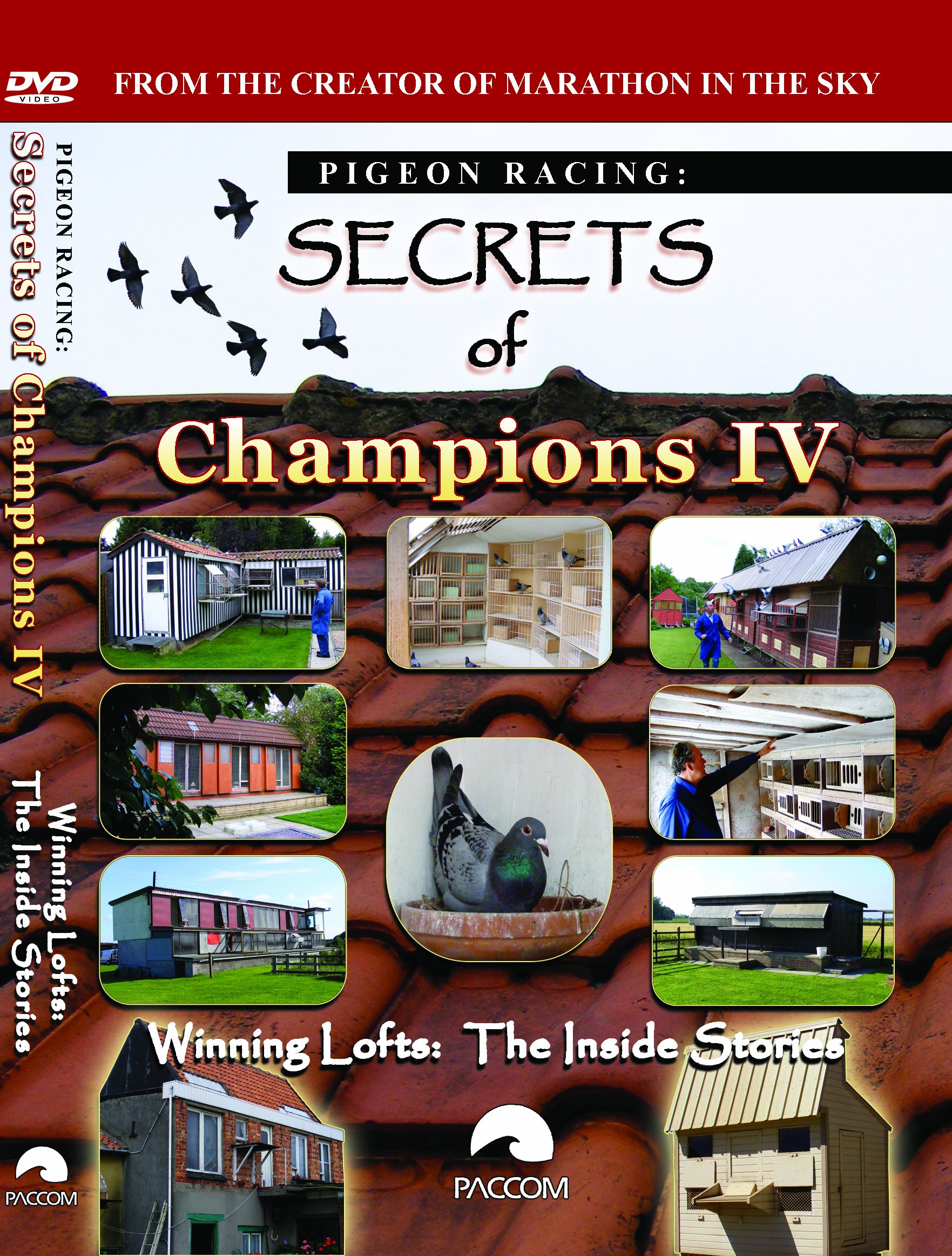 Pigeon Racing: Secrets of Champions IV: Winning Lofts, The Inside Stories