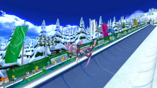 Mario and Sonic at the Olympic Winter Games - Nintendo Wii