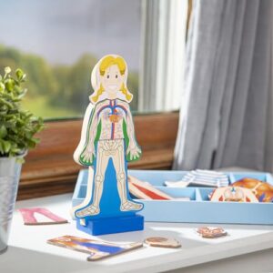 Melissa & Doug Magnetic Human Body Anatomy Play Set With 24 Magnetic Pieces and Storage Tray