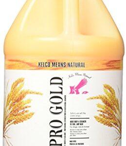 Kelco Pro Gold Shampoo Gallon