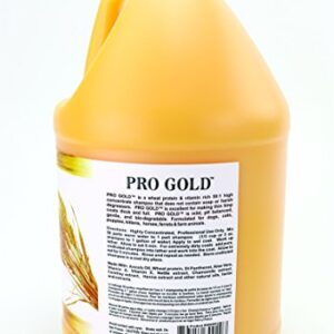 Kelco Pro Gold Shampoo Gallon