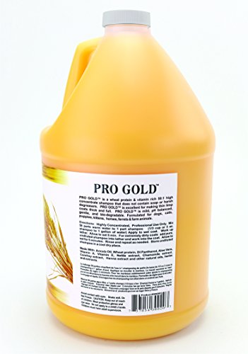 Kelco Pro Gold Shampoo Gallon