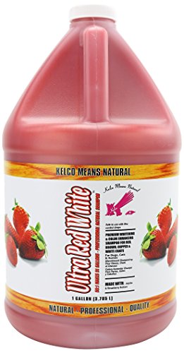 Kelco 50:1 Ultra Red Shampoo Gallon