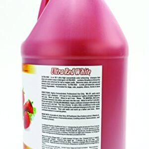 Kelco 50:1 Ultra Red Shampoo Gallon