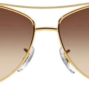 Ray-Ban Sunglasses - RB3386 / Frame: Gold Lens: Brown Gradient (63mm)