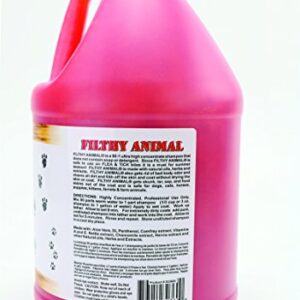 Kelco 50:1 Filthy Animal Shampoo Gallon