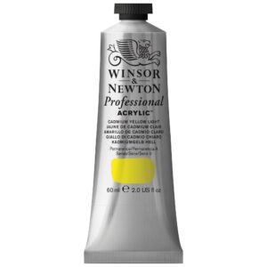 winsor & newton professional acrylic paint, 60ml (2-oz) tube, cadmium yellow light