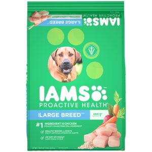 iams large breed proactive dry dog food 15 lb