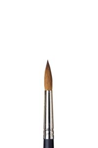 winsor & newton professional watercolour sable brush, round #10