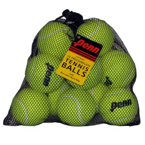 Penn Pressureless Tennis Balls,12 Ball Mesh Bag