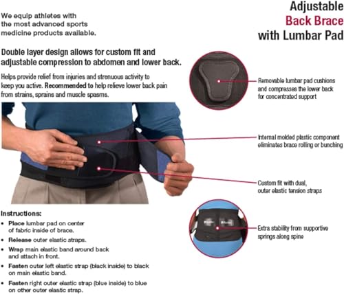 MUELLER Sports Medicine Adjustable Lumbar Back Brace with Removable Pad, Back Pain Relief Support for Men and Women, Ideal for Upper and Lower Back Pain, Sciatica, Scoliosis, Black, Regular Size