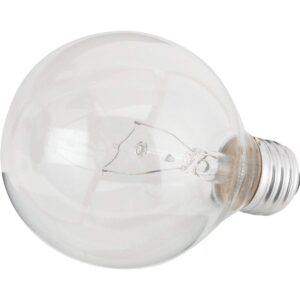 PHILIPS 25W 120V G25 Clear Globe Bulb, E26 Base