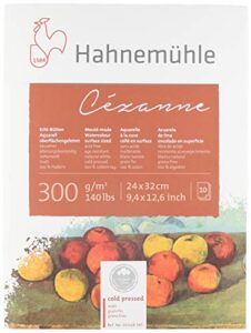 hahnemuhle cezanne watercolor block matte surface 9.5x12.5 inches 300gsm 10 sheets,white