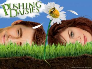 pushing daisies season 1